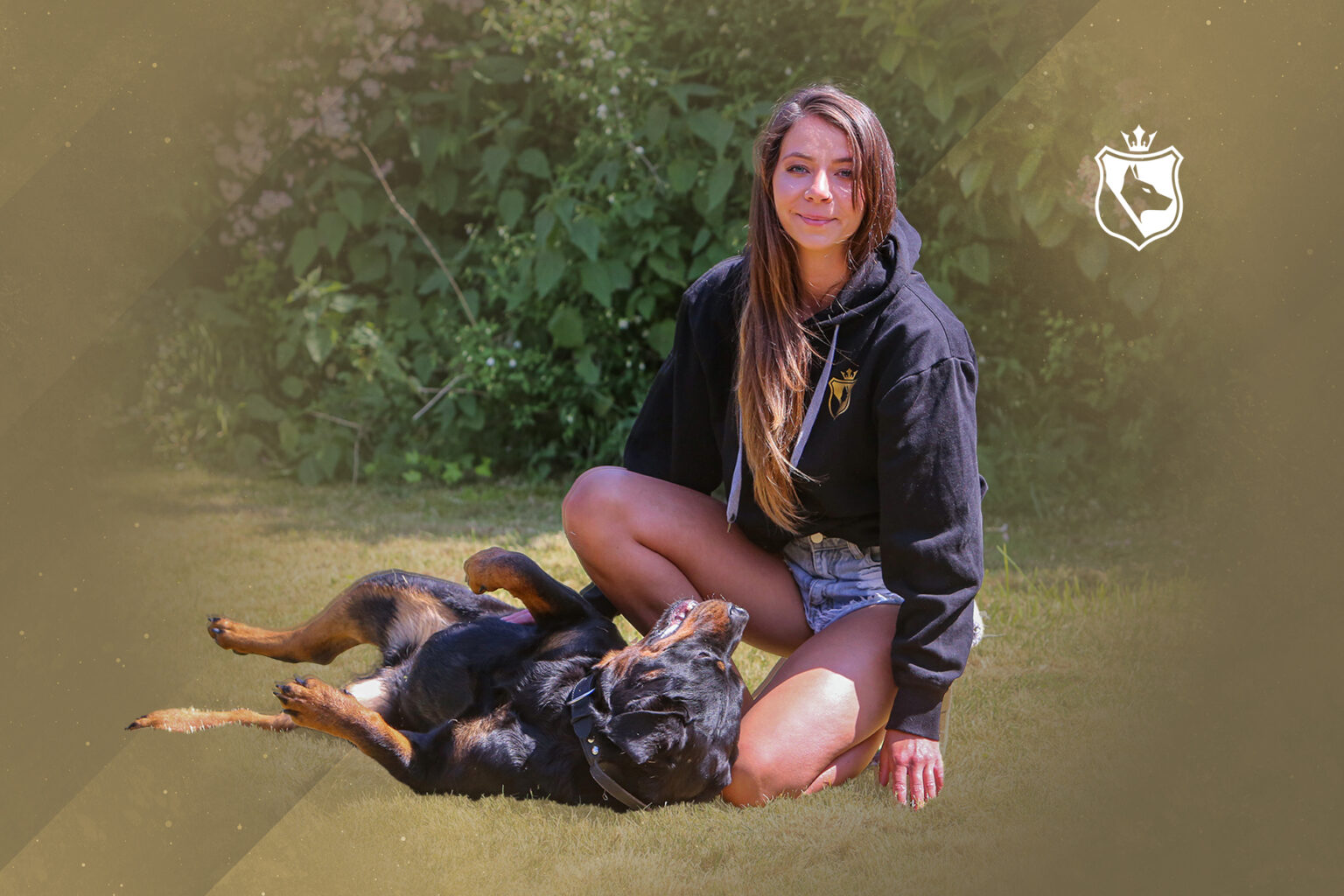 Hundeerziehung & Mindset Masterclass – InsideDog